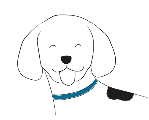 Pata | Your home for pets